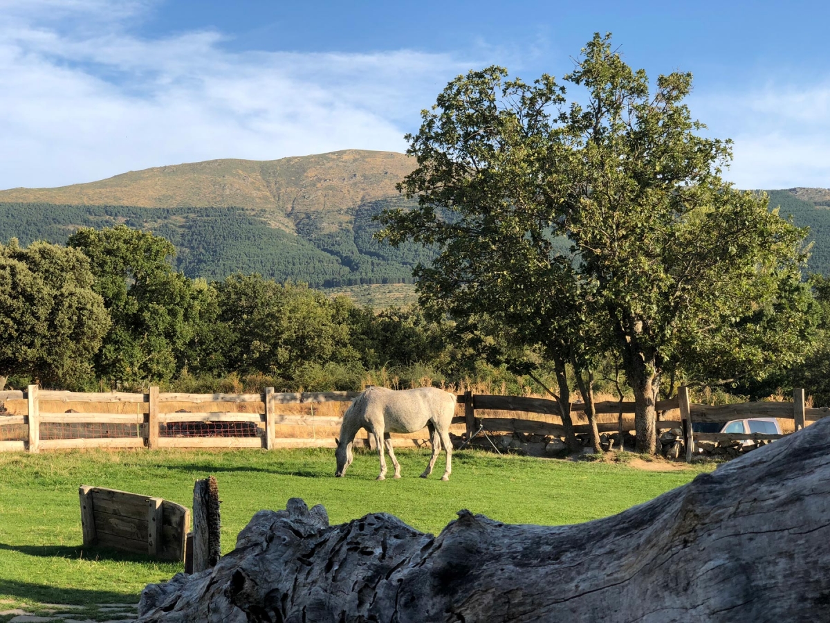 Imágenes y Fotos de la Granja El Enebral